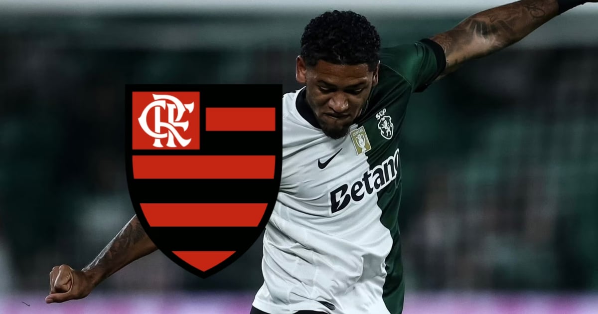 Rayan Lucas deve retornar ao Flamengo após Sporting desistir de compra ...